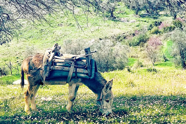 The beauty of Baldushk village - Visit Tirana