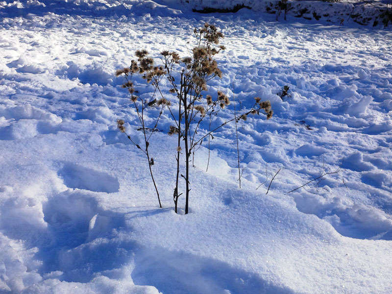 Dajti Mountain Tirana- National Park - Visit Tirana